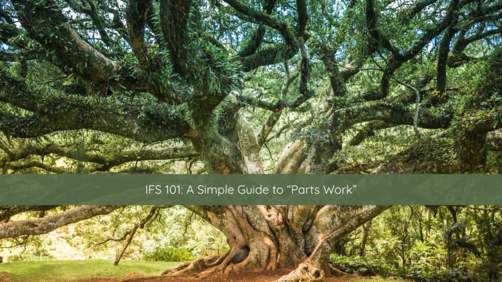 IFS 101: A Simple Guide to Parts Work